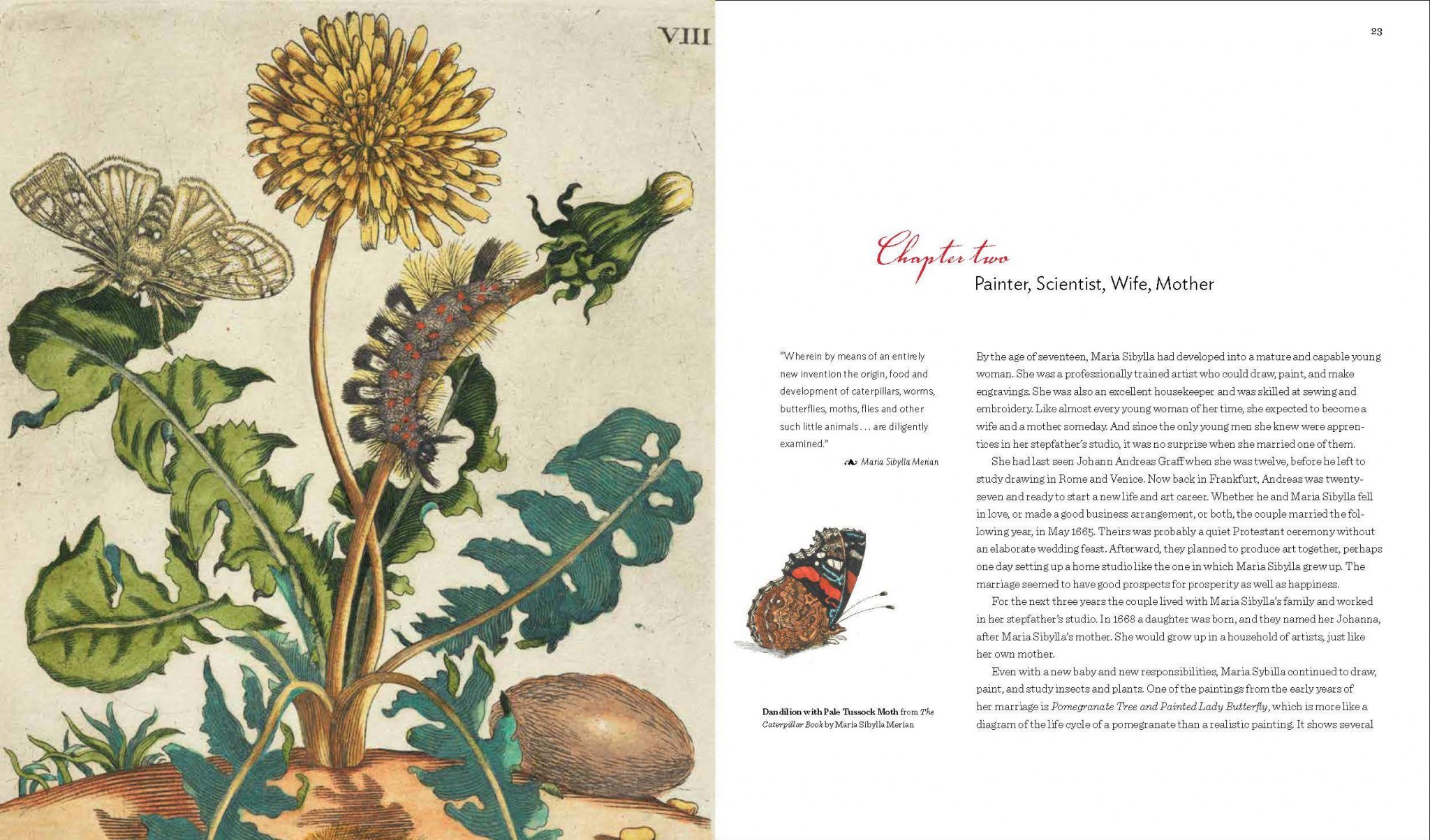 Review: Maria Sibylla Merian: Artist, Scientist, Adventurer is lovely ...