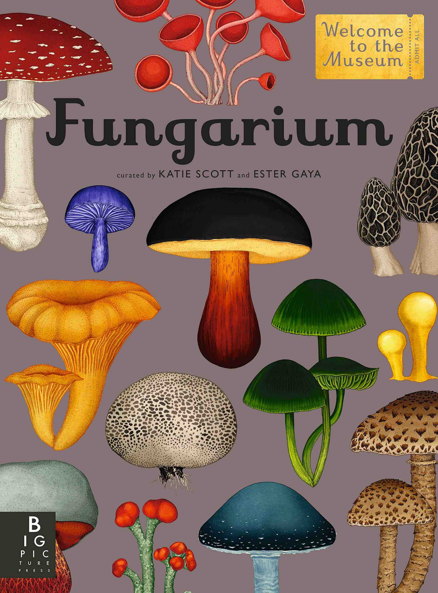 Review: Welcome to the Museum is back with fantastic Fungarium