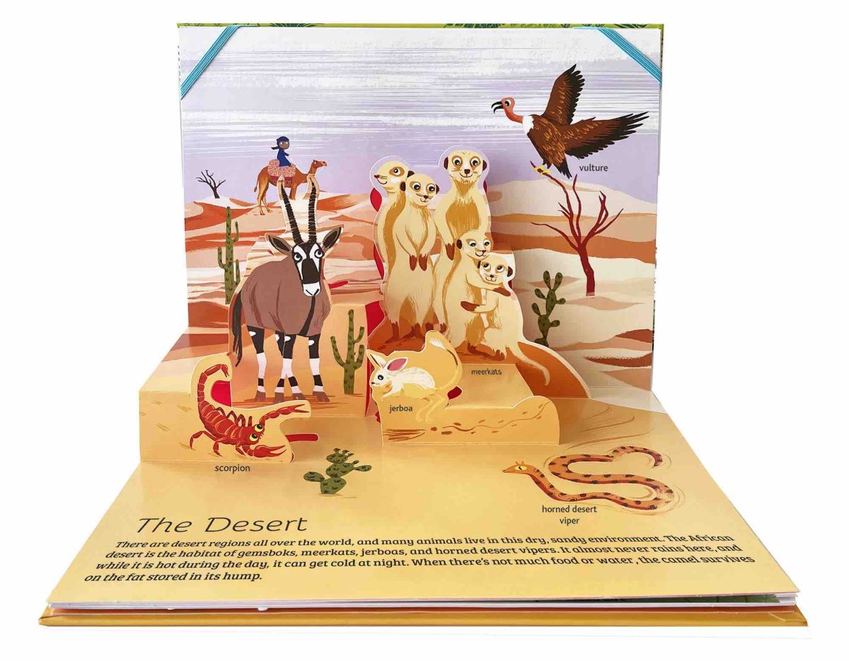 Review: New pop-up books from Twirl feature animals and dinosaurs