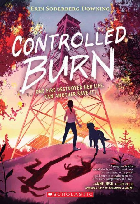 Review: Erin Soderberg Downing's Controlled Burn celebrates compassion