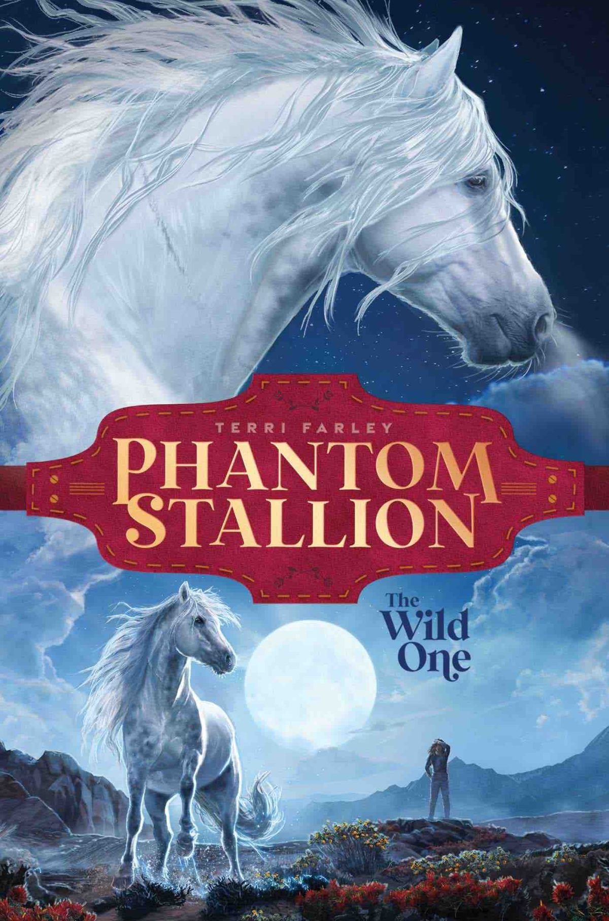 Wild One from Terri Farley's Phantom Stallion series gets new content