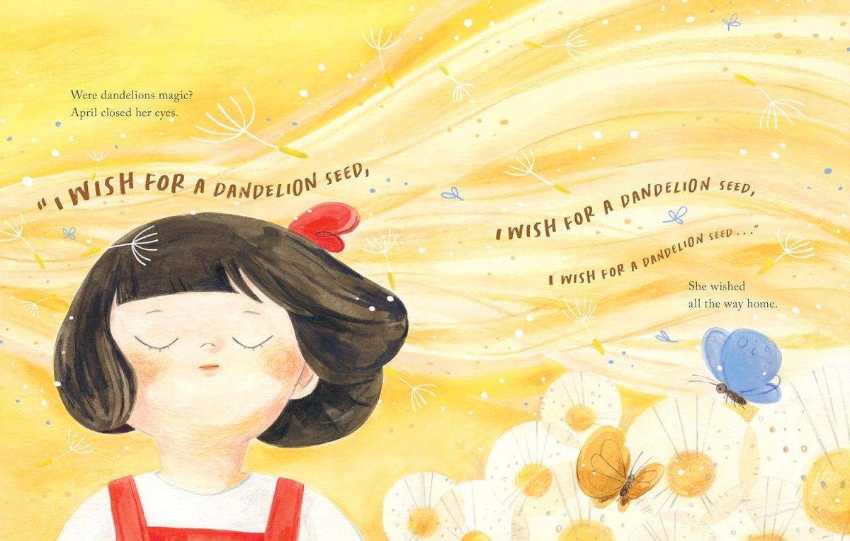 Review: Sally Soweol Han's Tiny Wonders feels like a warm hug