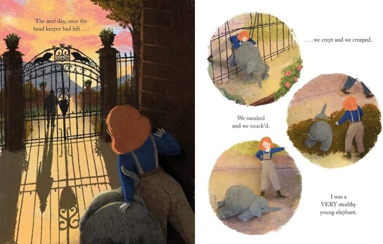 Ellan Rankin's The Secret Elephant is lovely story of friendship - www ...