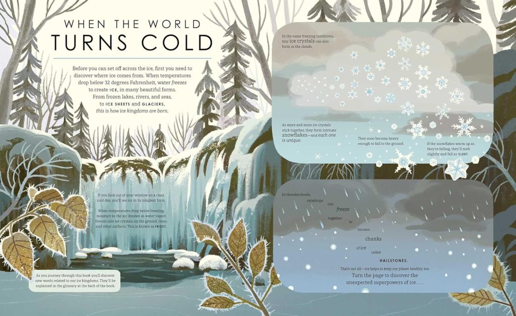 Our Frozen Planet is beautiful companion to the BBC Earth series - www ...